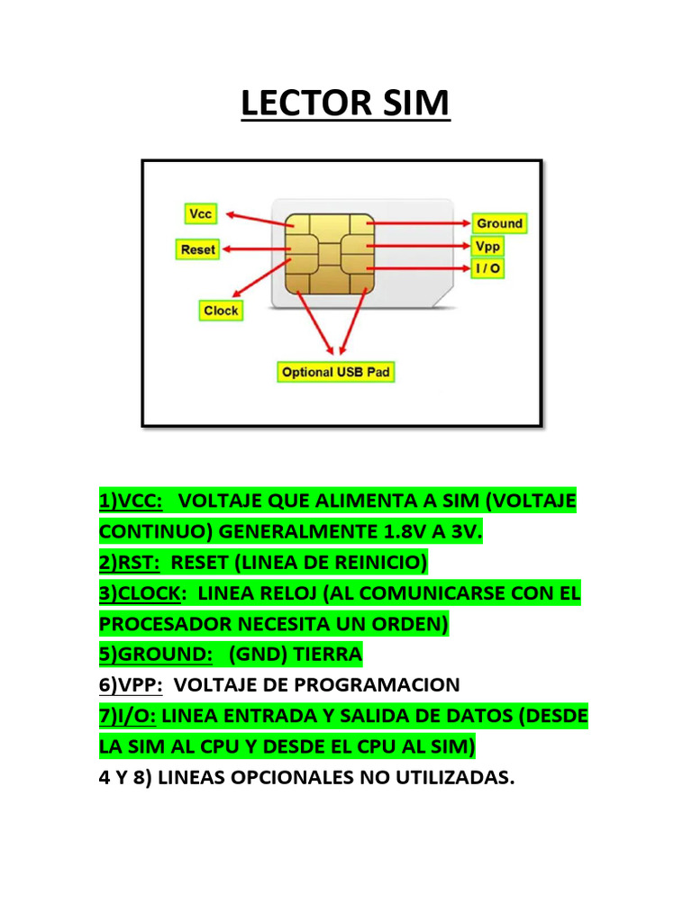 Lector Sim | PDF | Informática
