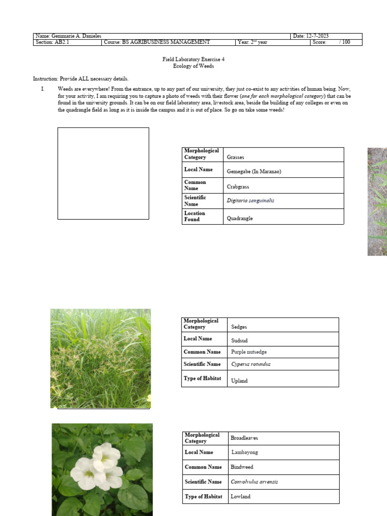 Ecology of Weeds: Field Lab Exercise | PDF
