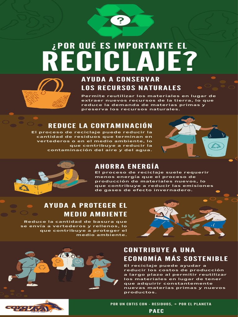 Infografía - Importancia Del Reciclaje de Basura | PDF