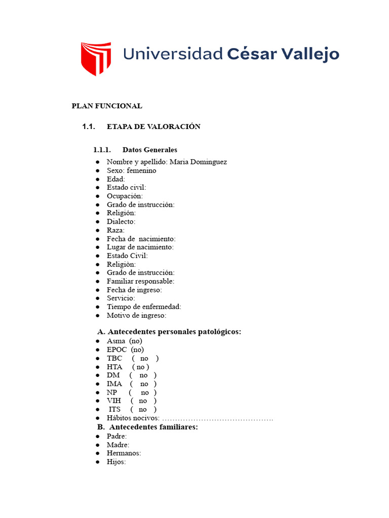 PLAN FUNCIONAL | PDF | Especialidades Medicas | Medicina CLINICA