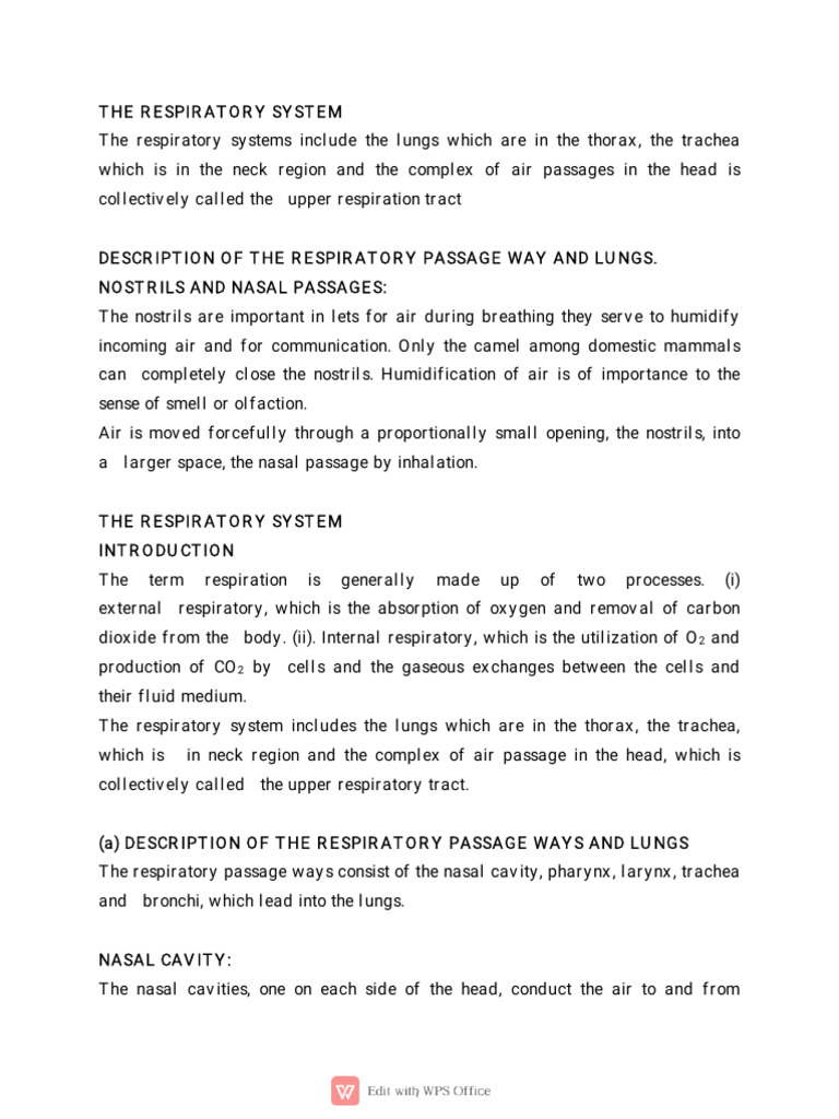 Anp201 the Respiratory System | PDF | Respiratory System | Human Head ...