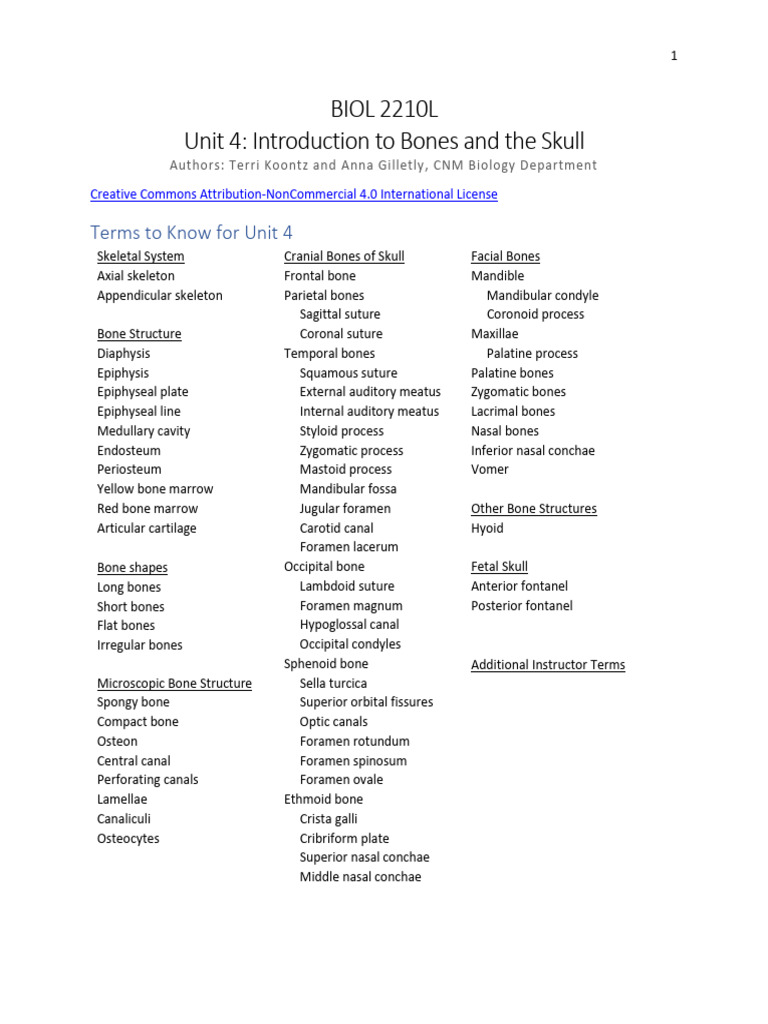 Unit 4 Introduction To Bones and The Skull | PDF | Skull | Bone
