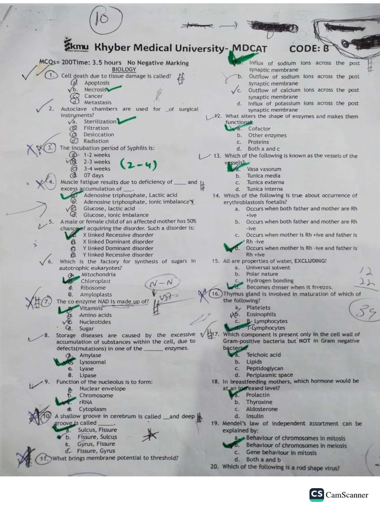 Kmu Mdcat 2023 With Keys | PDF