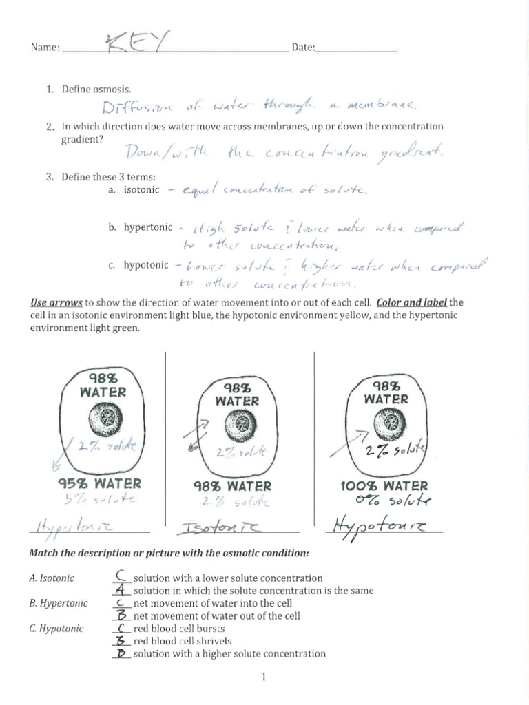 Level 1 Osmosis Practice Key | PDF