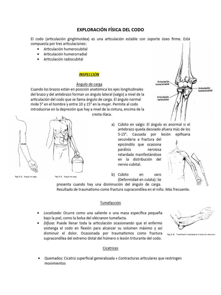 Exploracion Fisica Del Codo - Vane | PDF | Codo | Anatomía humana