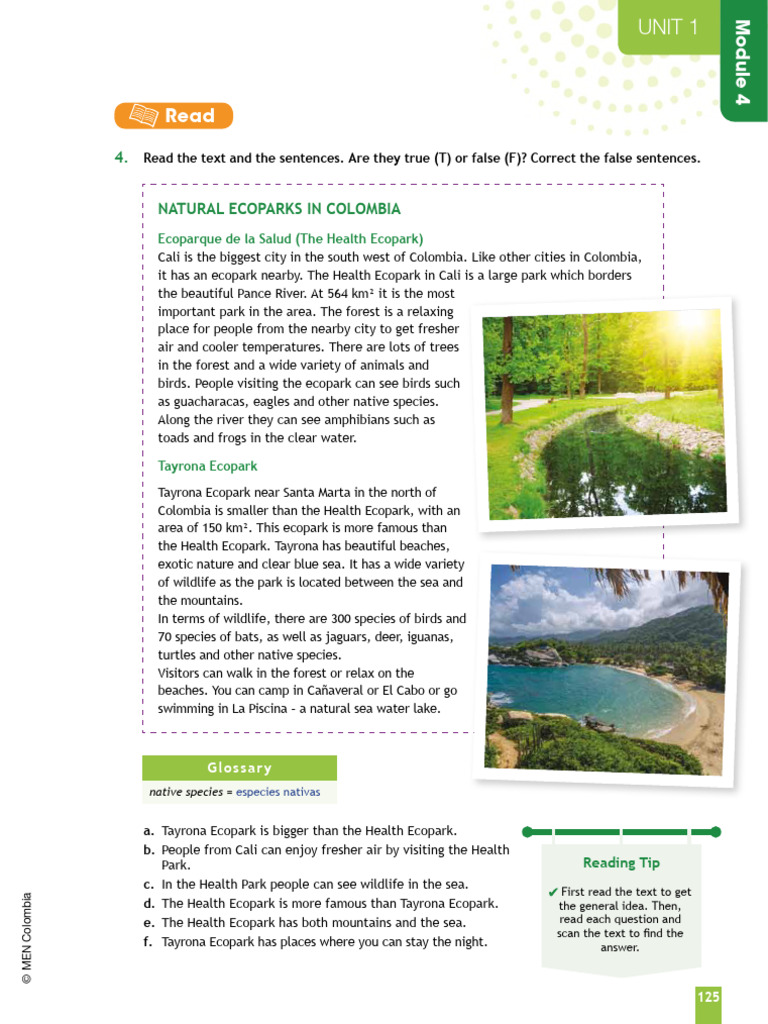 Comparative and Superlative Text | PDF