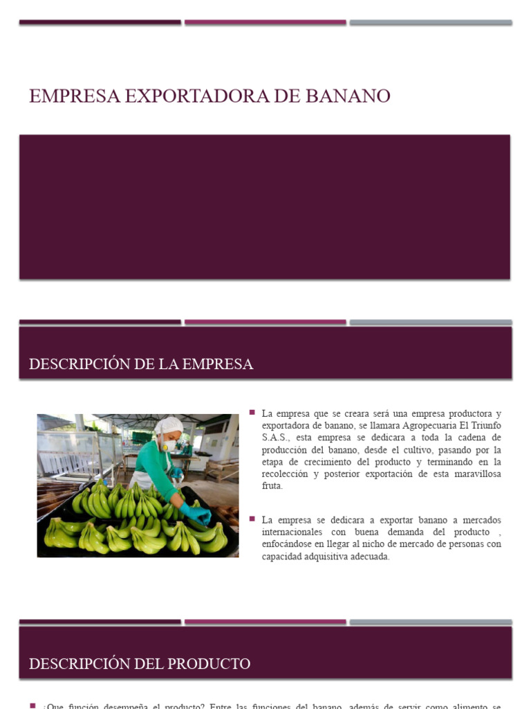 Empresa Exportadora de Banano Versión 9oct | PDF | Producto Interno ...