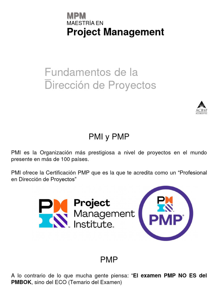 Proyectos 1 | PDF