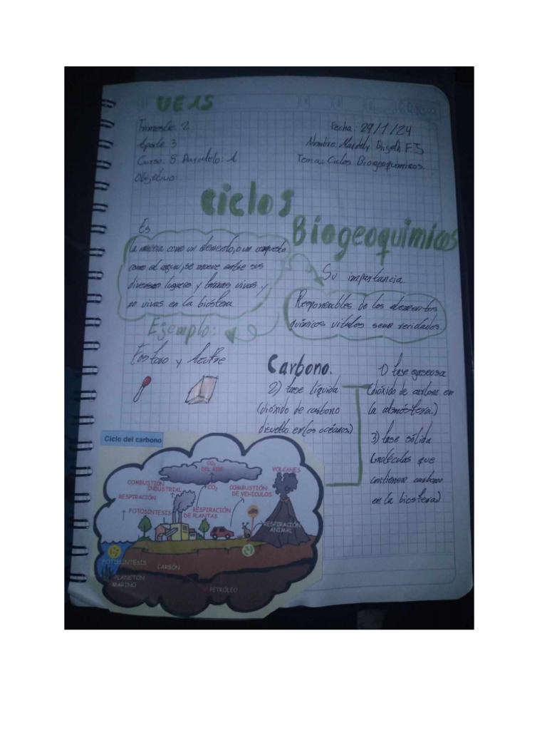 Ciclos Biogeoquimico | PDF