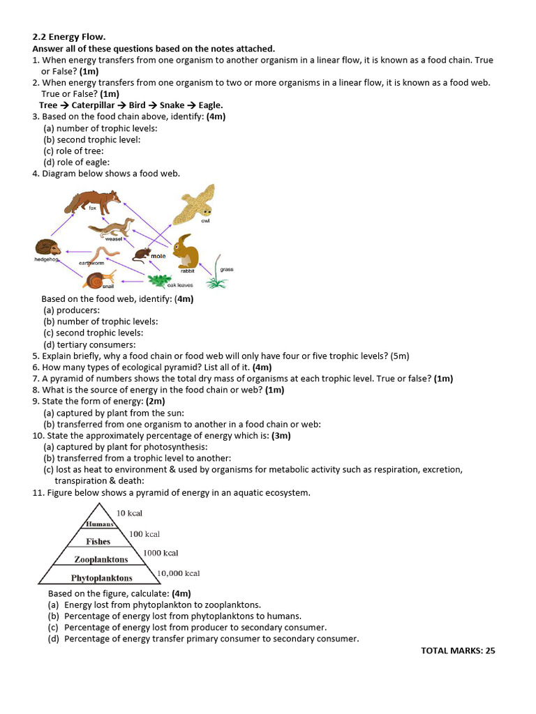 2.2 ENERGY FLOW HANDOUT - Questions | PDF