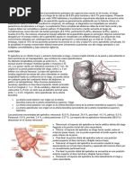 Revisión Coledocolitiasis Guías ASGE 2019 | PDF | Sistema digestivo ...