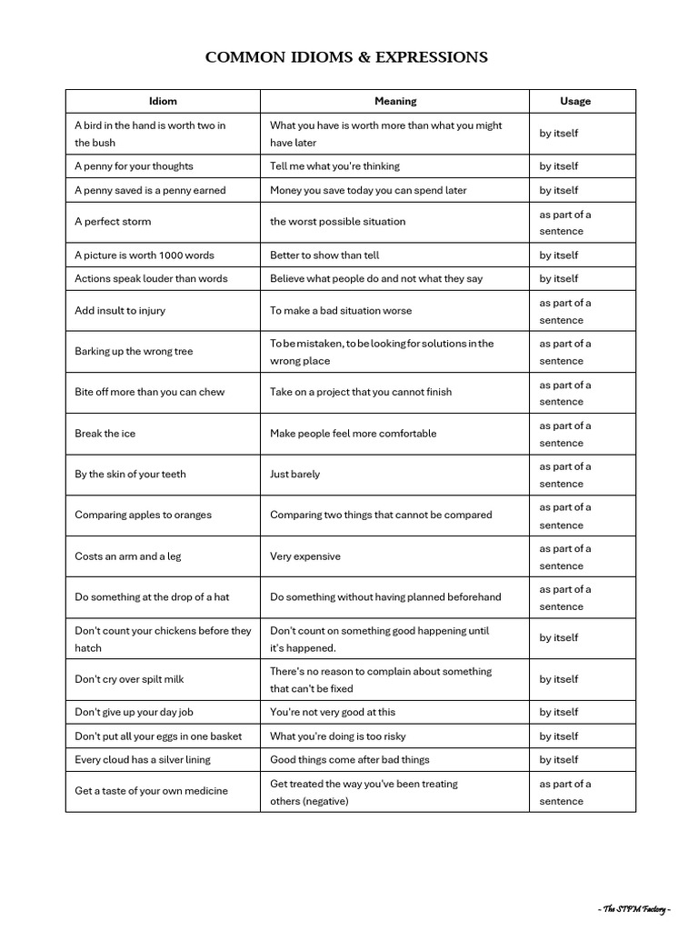 Common English Idioms Expressions | PDF