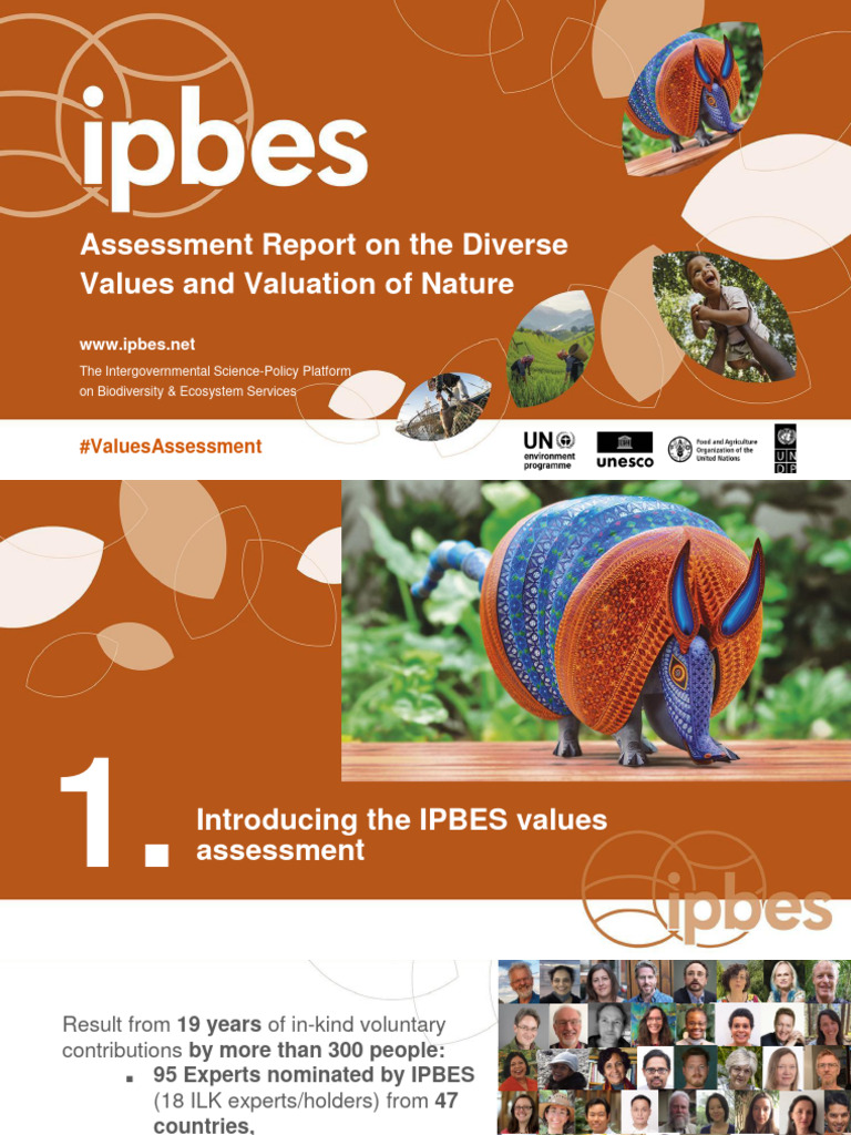 Values Ipbes Side Event 8 December Pdf Sustainability