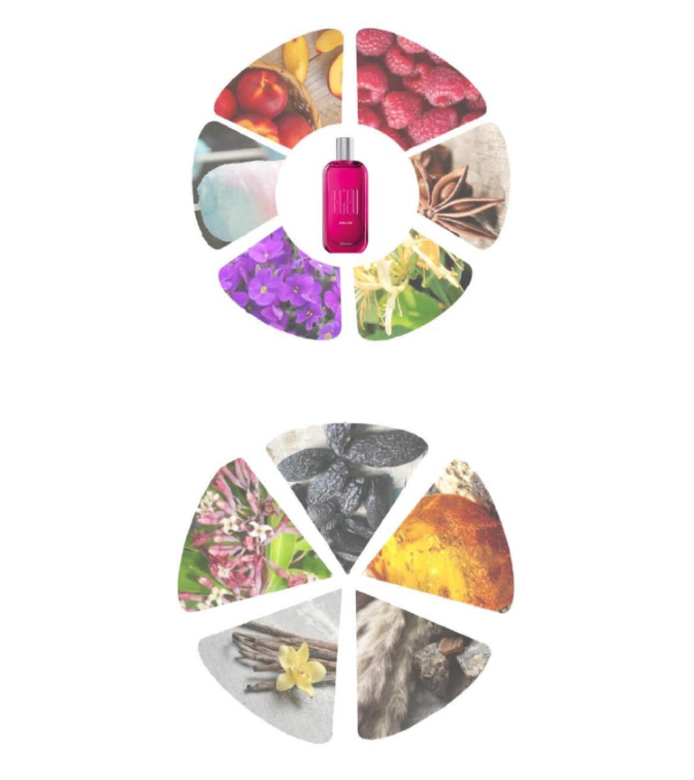 Notas Olfativas Perfume | PDF