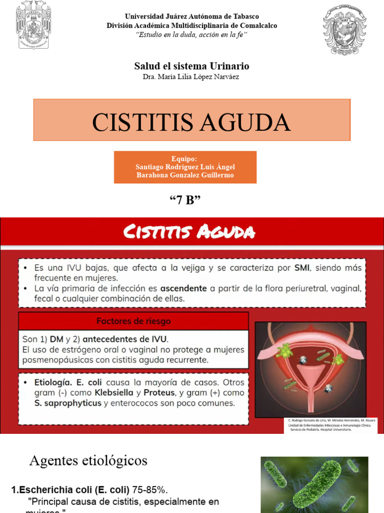Causas y Tratamiento de Cistitis Aguda | PDF | Infección del tracto ...