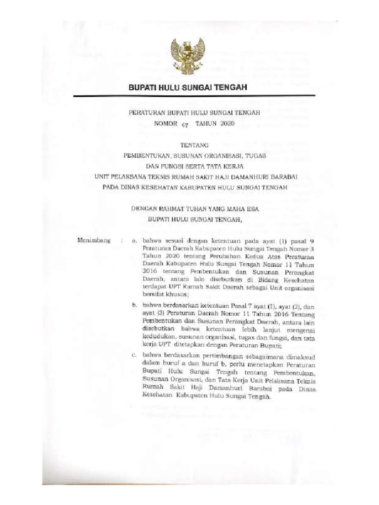 SOTK RS Damanhuri HST | PDF