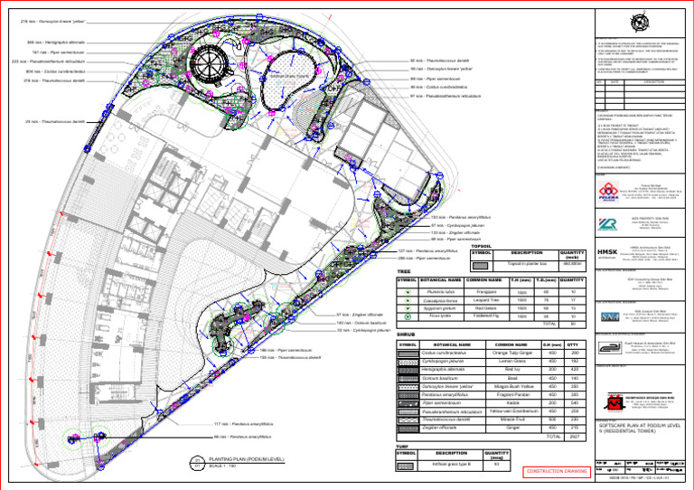 (lvl9) SOFTSCAPE PLAN | PDF | Ficus | Plants