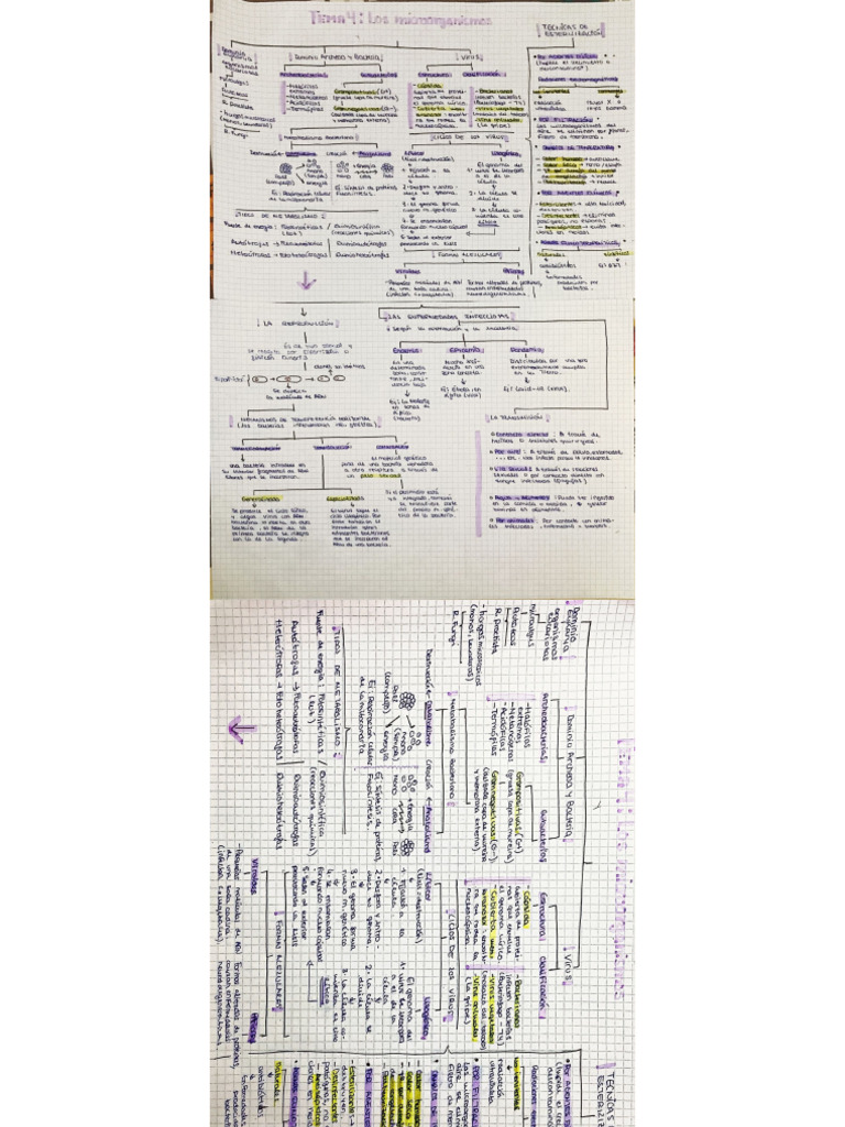 Esquema biología T.4 | PDF