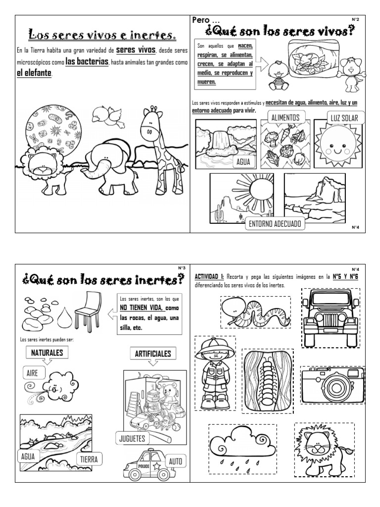 Seres Vivos y Sus Características | PDF | Piel | Zoología