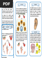 5 Sentidos | PDF | Gusto | Sentidos