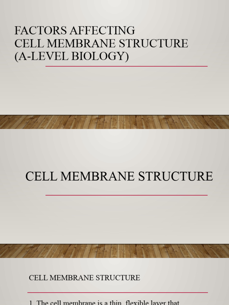 Factors Affecting Cell Membrane | PDF | Cell Membrane | Lipid Bilayer