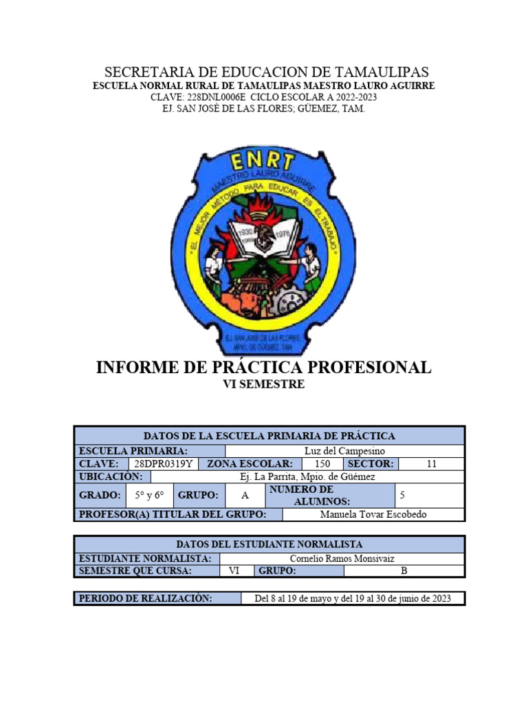 Informe Final de Practicas 2023 | Descargar gratis PDF | Plan de estudios | Educación primaria