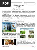 Rwa Election Procedure Sample | PDF