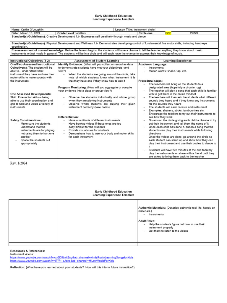 Ece Lesson Plan Template 2 | PDF | Early Childhood Education | Learning