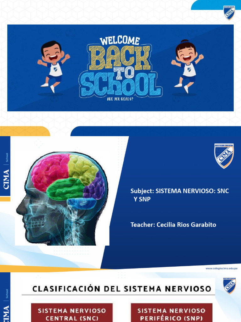 SNC, SNP y SNV | Descargar gratis PDF | Cerebro | Serotonina