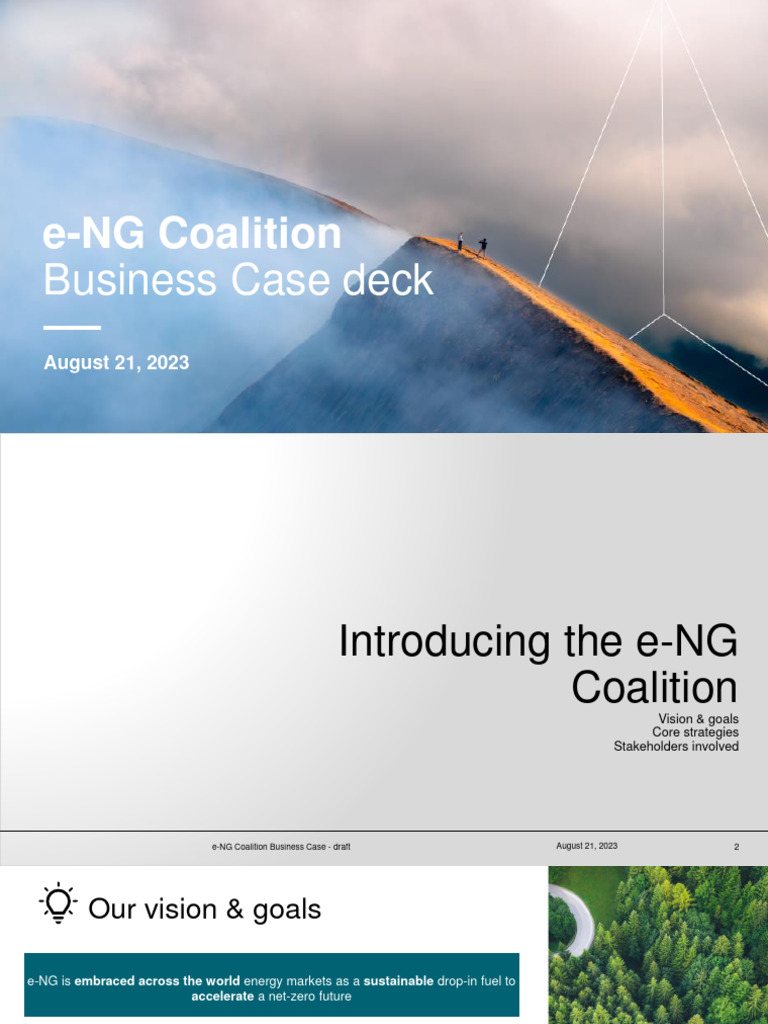 e-NG Coalition Business Case Overview | PDF | Sustainability | Governance