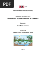 Características de la Sabana Húmeda con Palmeras | PDF | Deforestación ...