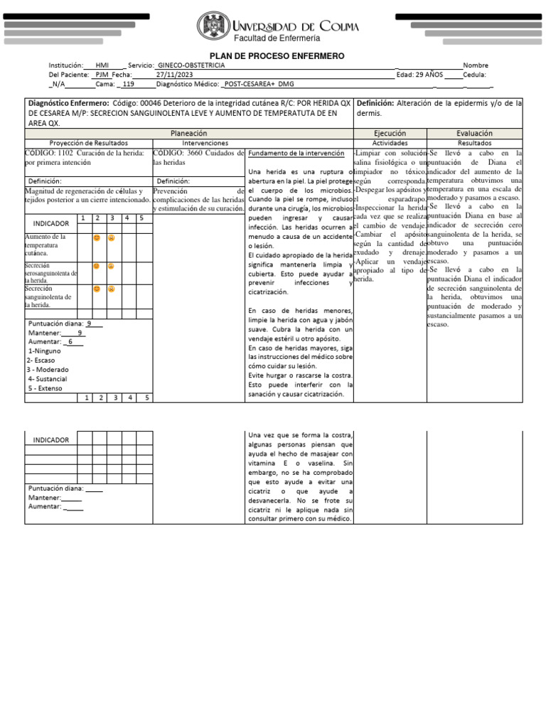 Plan de Pae | PDF | Herida | Piel