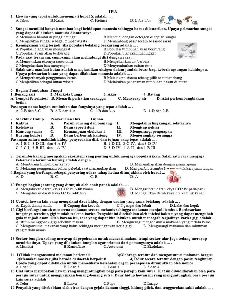 CBT Ipa Dan Fiqih | PDF | Sains & Matematika