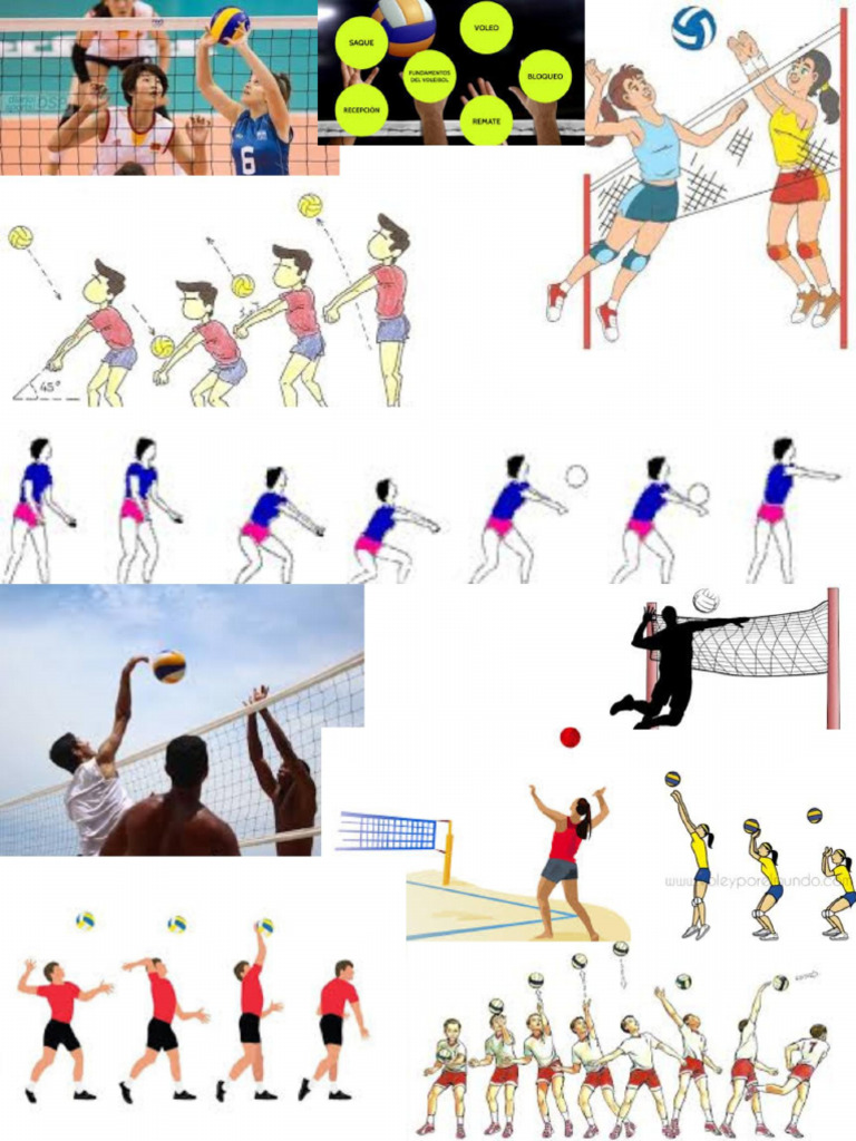 Collage Voleibol | PDF