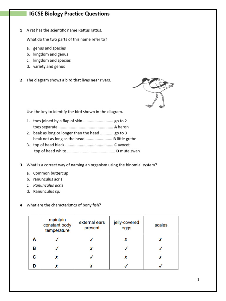 IGCSE Biology Practice Questions | PDF | Zoology | Organisms