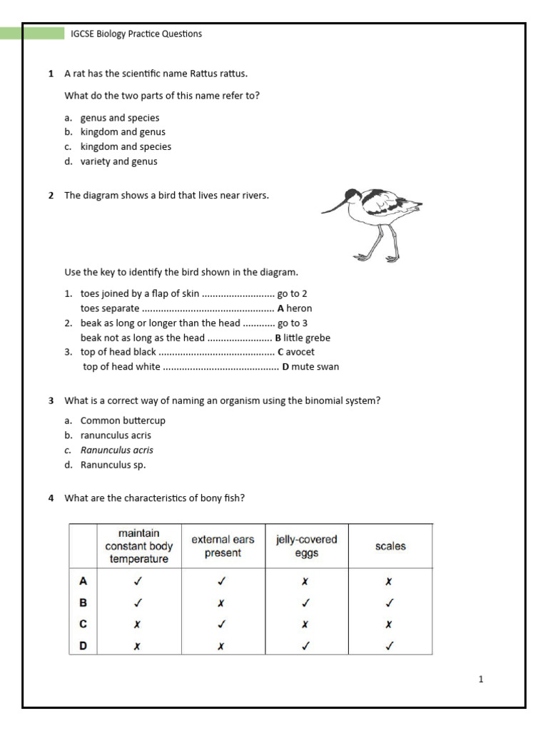 Ch1 IGCSE Practice Questions | PDF | Zoology | Organisms