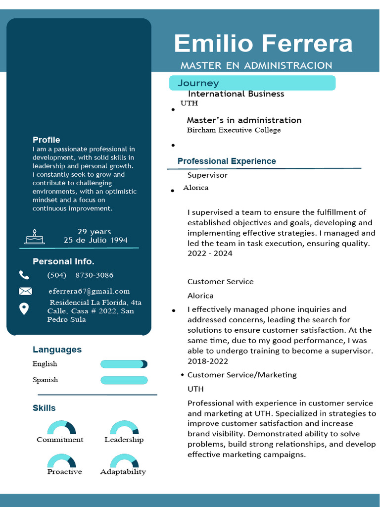 CV Emilio Ferrera English | Download Free PDF | Leadership | Recruitment