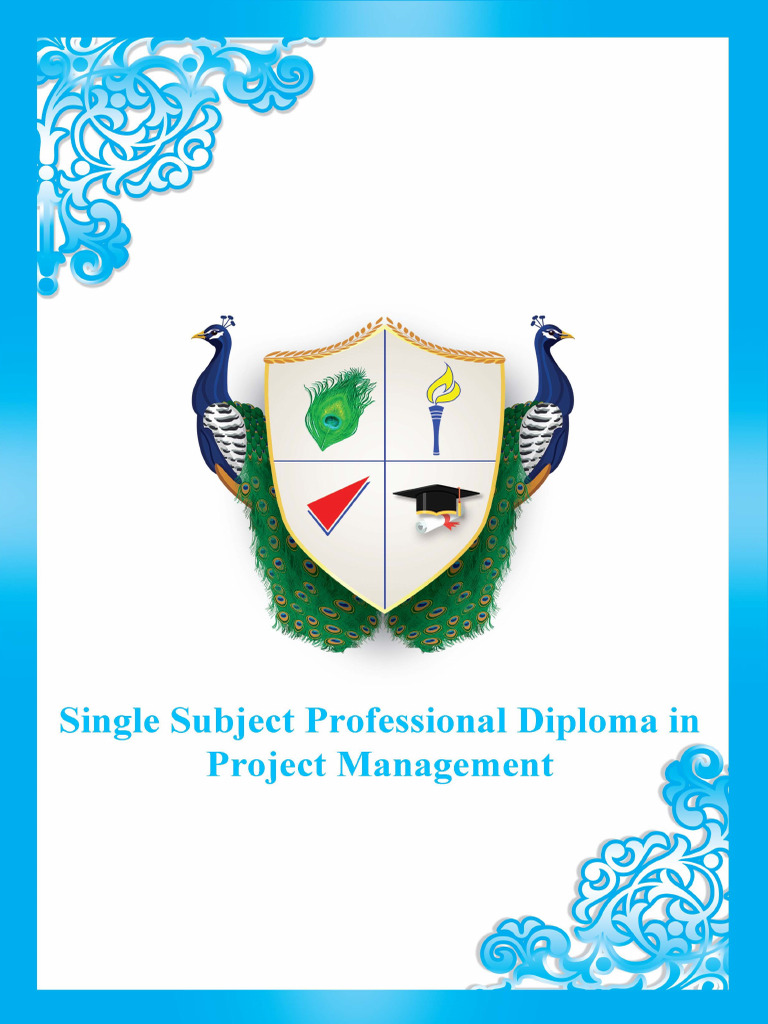 SSDL Projcet Management | PDF