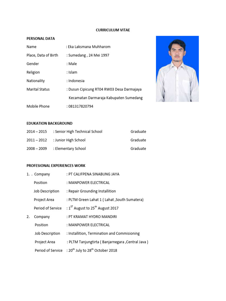 Curriculum Vita1.Docx 2 | PDF | Technology & Engineering