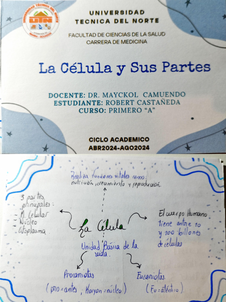 Célula, Adn y Arn | PDF