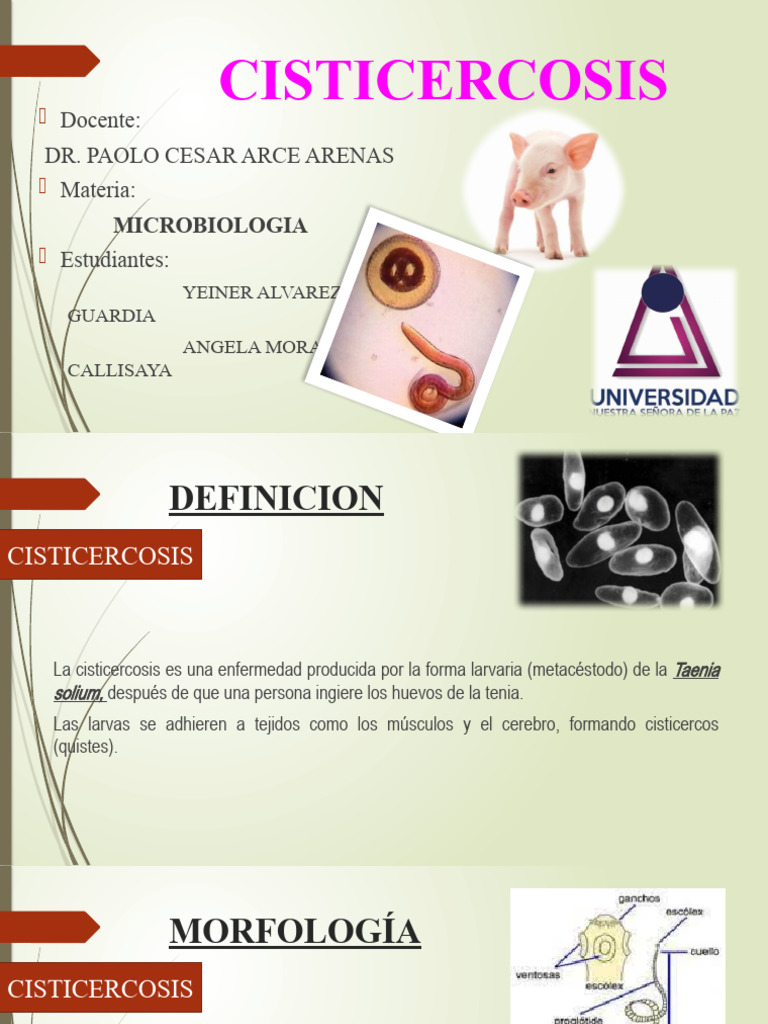 Cisticercosis: Definición y Tratamientos | PDF | Epidemiología ...