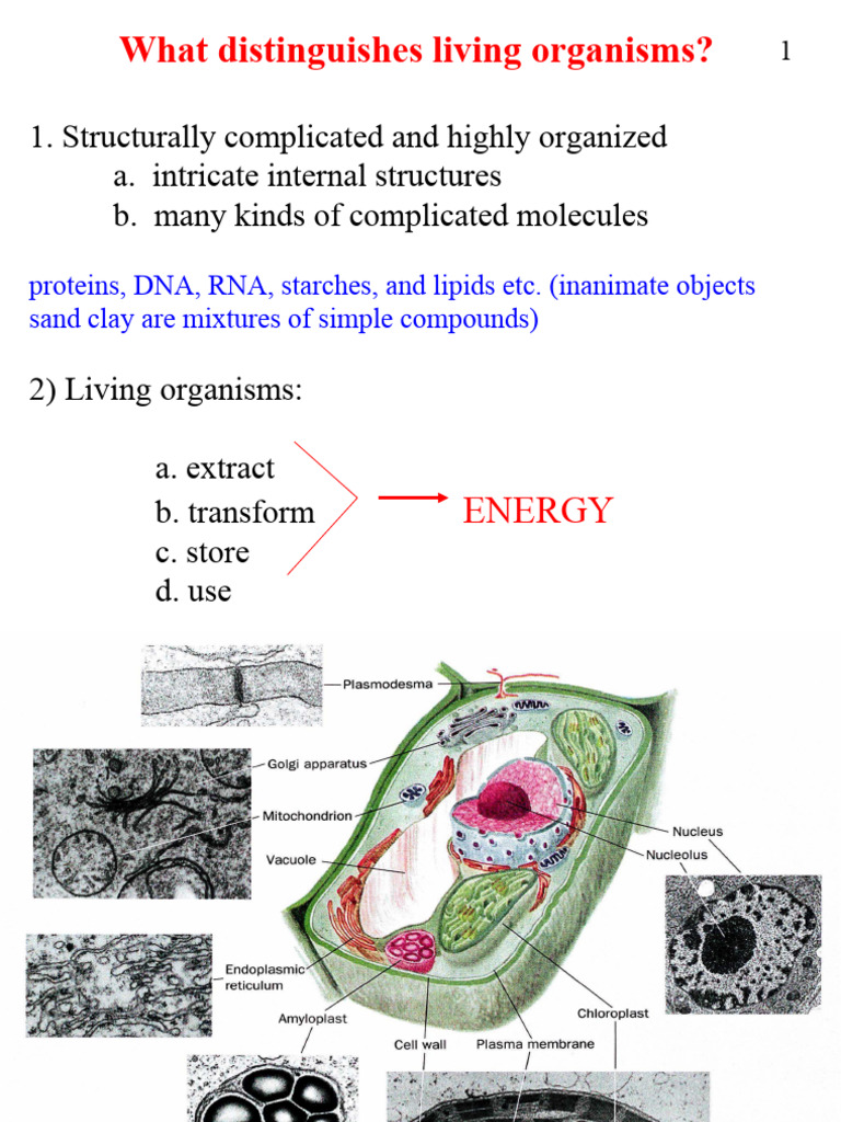 Lecture 1b | PDF | Biochemistry | Chemistry Lecture 1b | PDF | Biochemistry | Chemistry