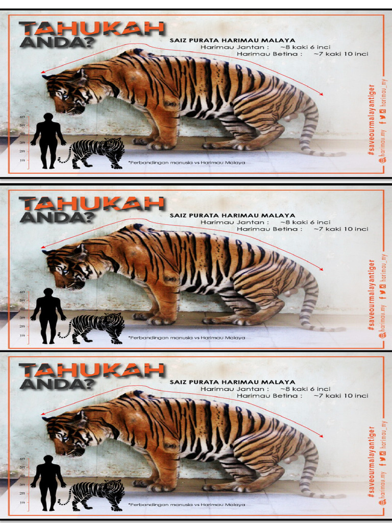 Harimau | PDF