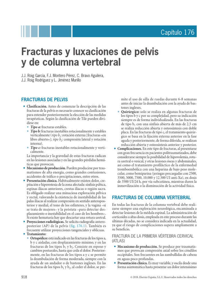 Fracturas y Luxaciones de Pelvis y de Columna Vertebral | PDF | La columna vertebral | Lesión de ...