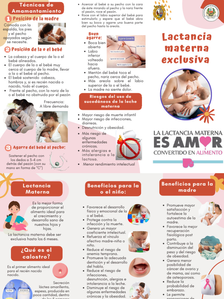 Final Triptico | PDF | Amamantamiento | Pecho