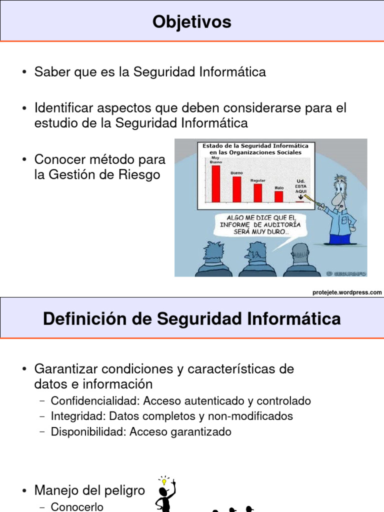 Gestion de Riesgo en La Seguridad Informatica | PDF | La seguridad informática | Seguridad