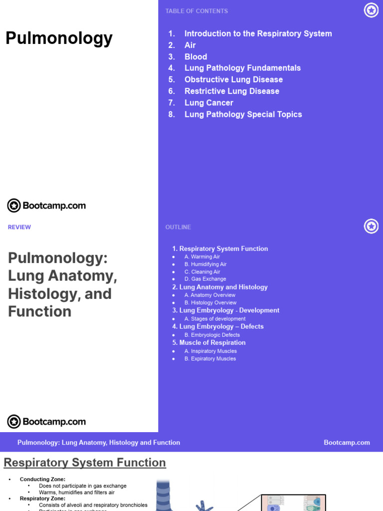 Overview of Lung Pathology Topics | PDF | Respiratory Tract | Lung