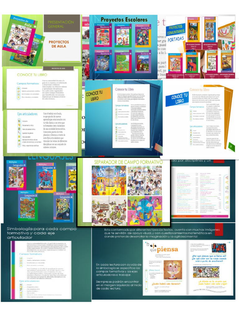 triptico analisis de libros | PDF