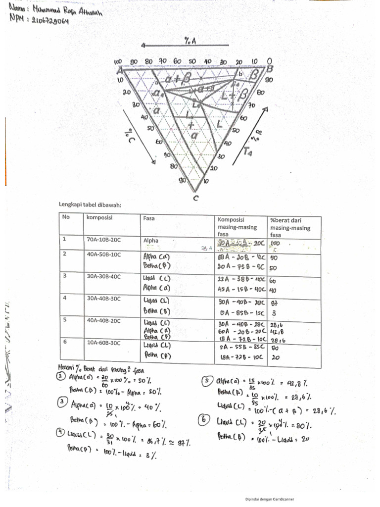 Muhammad Rafa Athallah - 2106729064 - Fismat 1 | PDF