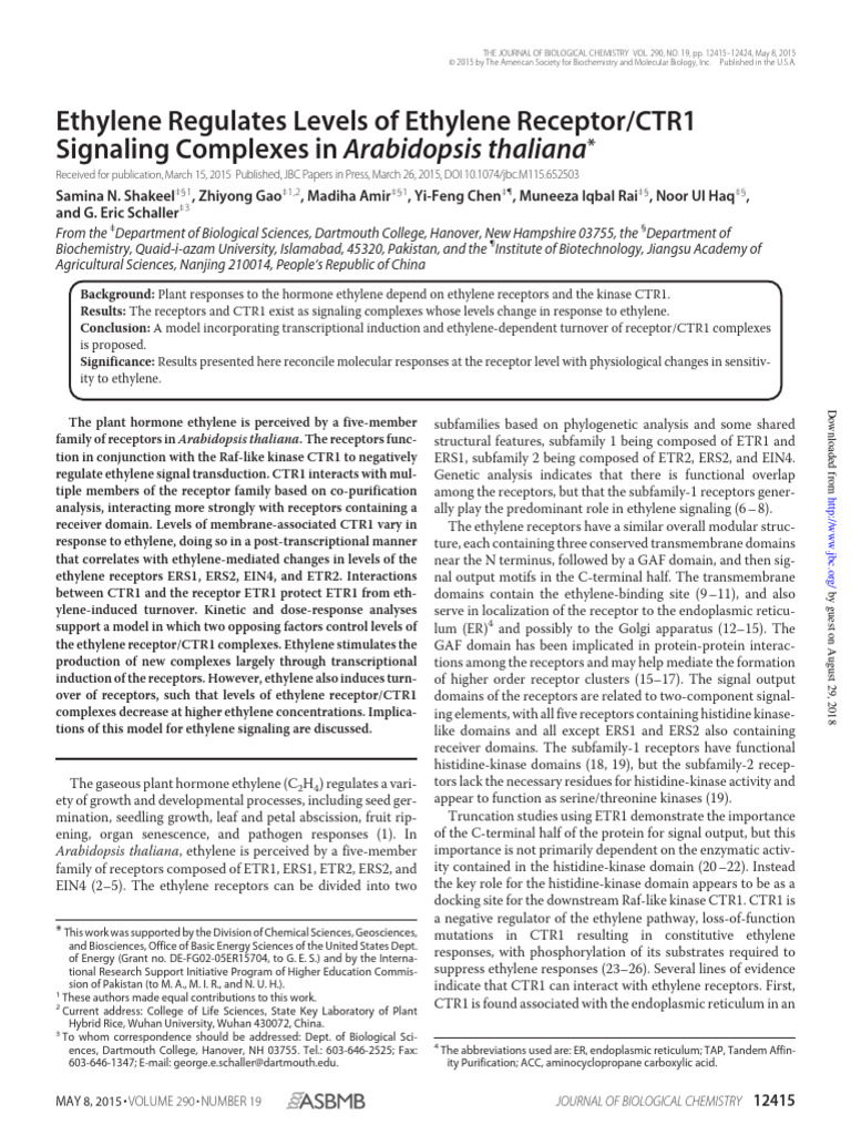 Ethylene Regulates Levels of Ethylene Receptor/CTR1 Signaling Complexes ...